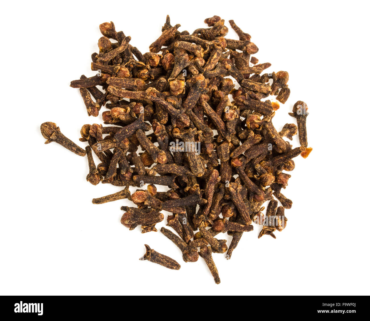 Carnation (spices) isolated on white background Stock Photo - Alamy