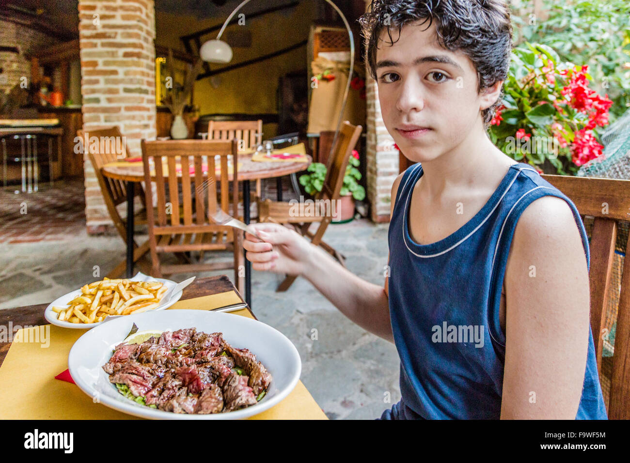 cut meat and chips for a caucasian teenager, puzzled in an outdoor ...