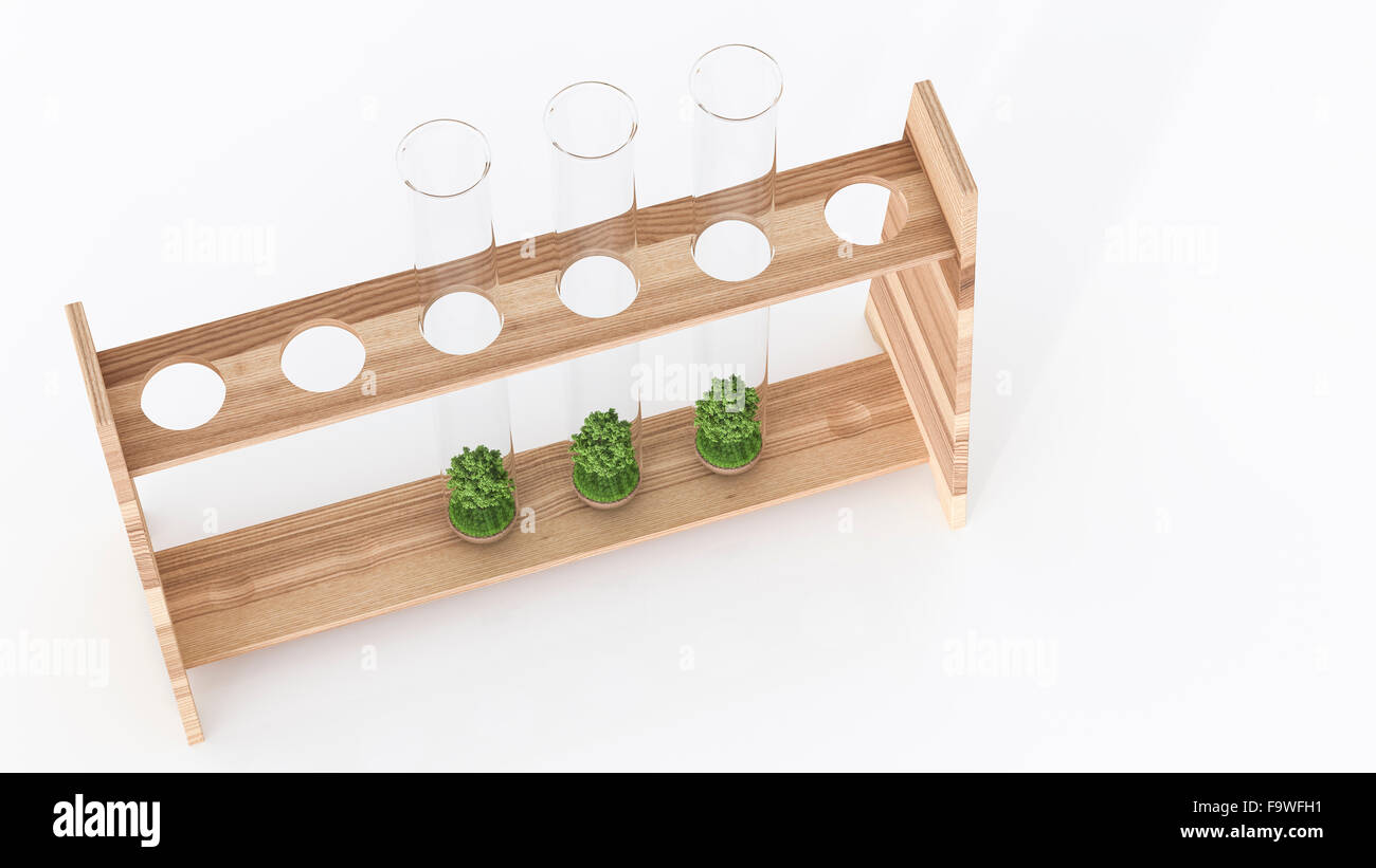 Small trees in test tube rack, illustration Stock Photo - Alamy