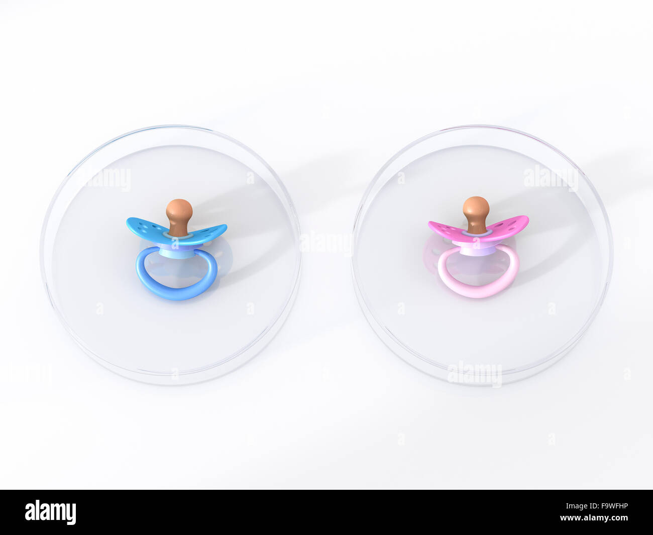 Two pacifiers lying in petri dishes, 3D Rendering Stock Photo - Alamy