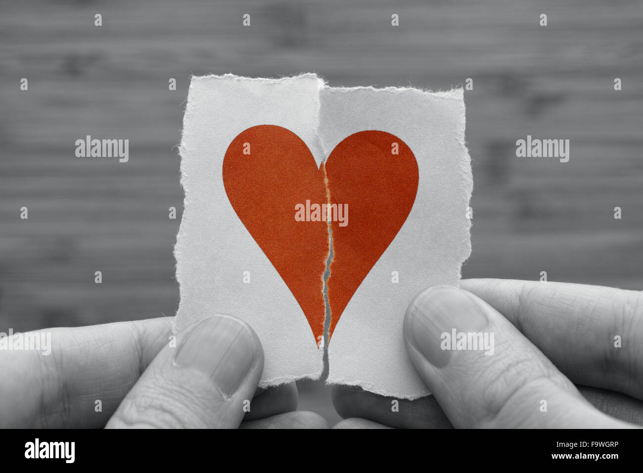 Man holds red broken paper heart in his hands. Black and white image ...