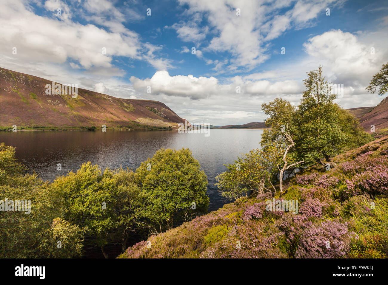 Loch Muick in the Aberdeenshire Highlands, Scotland Stock Photo - Alamy