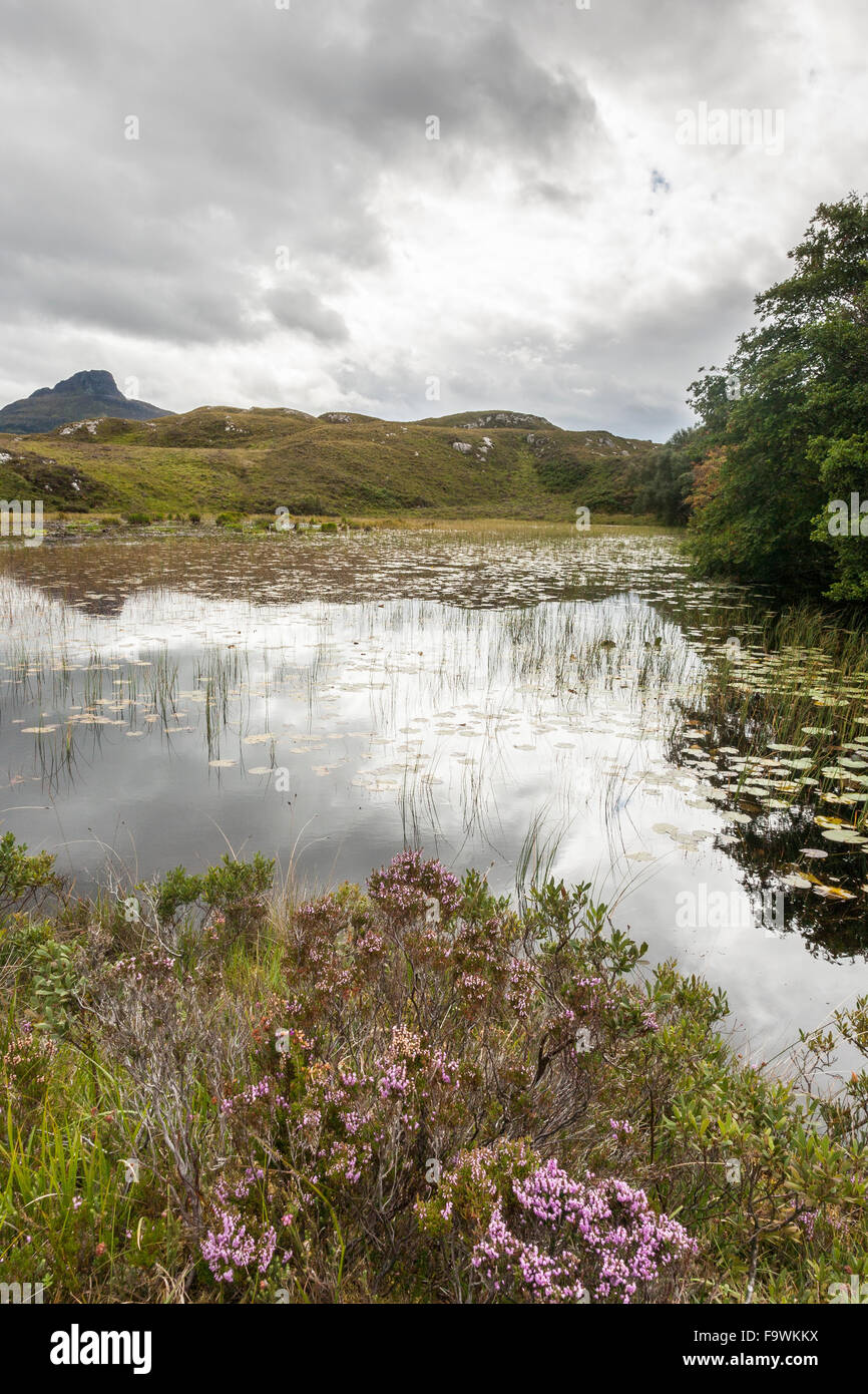 Loch Baine Moir in the Assynt area of Scotland Stock Photo - Alamy