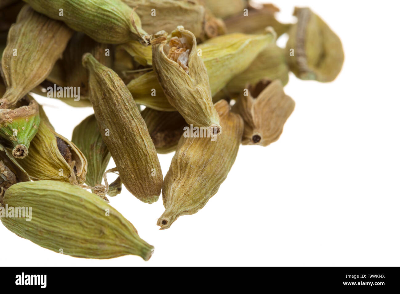 Cardamon studio macro shoot isolated Stock Photo - Alamy