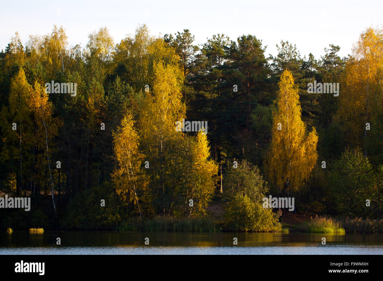 Colorful autumn trees fortress at the river front Stock Photo - Alamy