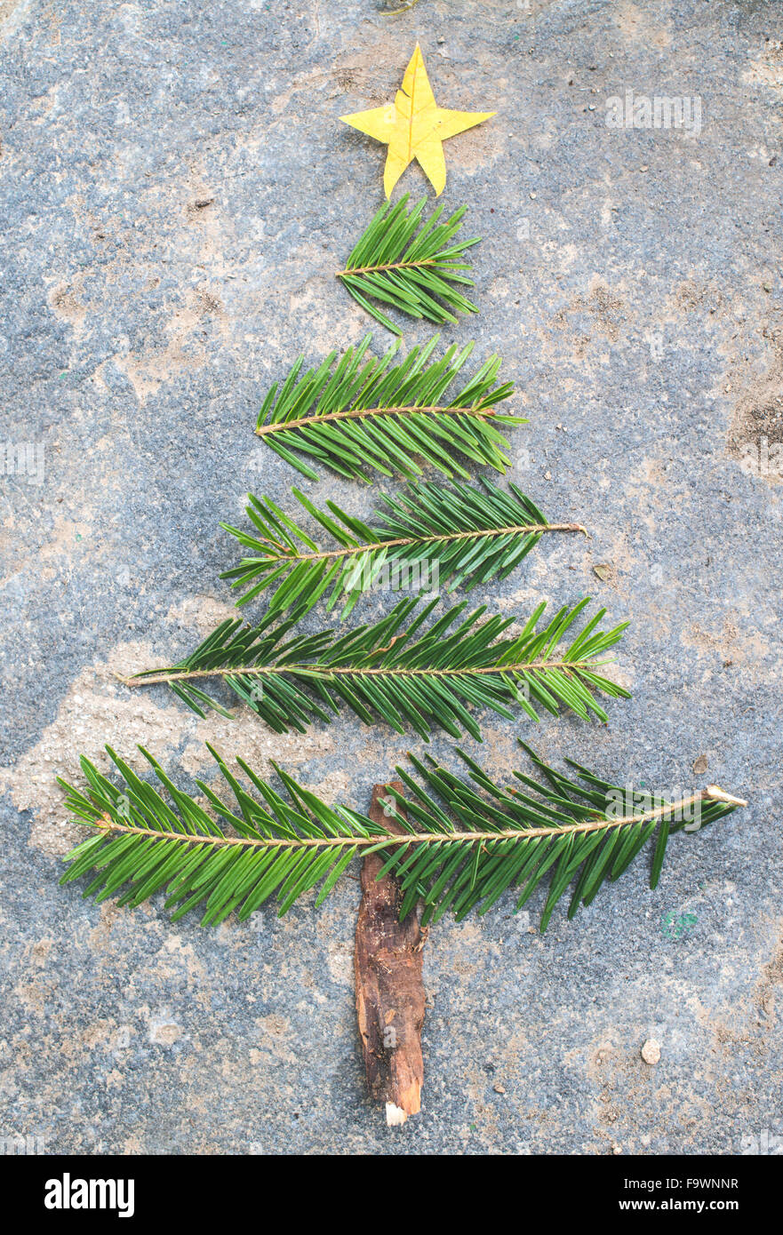 Pieces of fir branch, leaf and bark building shape of a Christmas tree ...