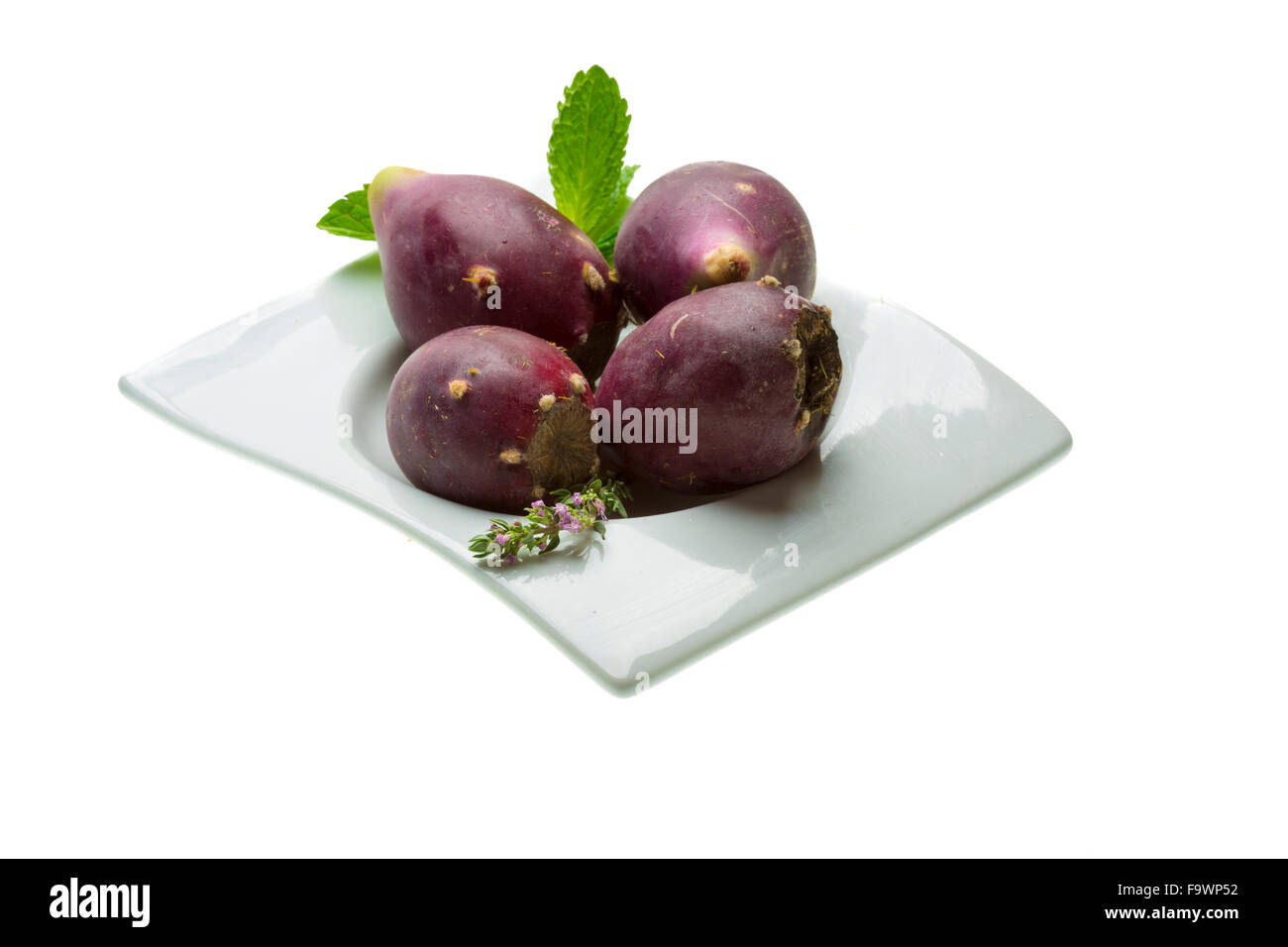 Cactus sabr in the dish Stock Photo - Alamy