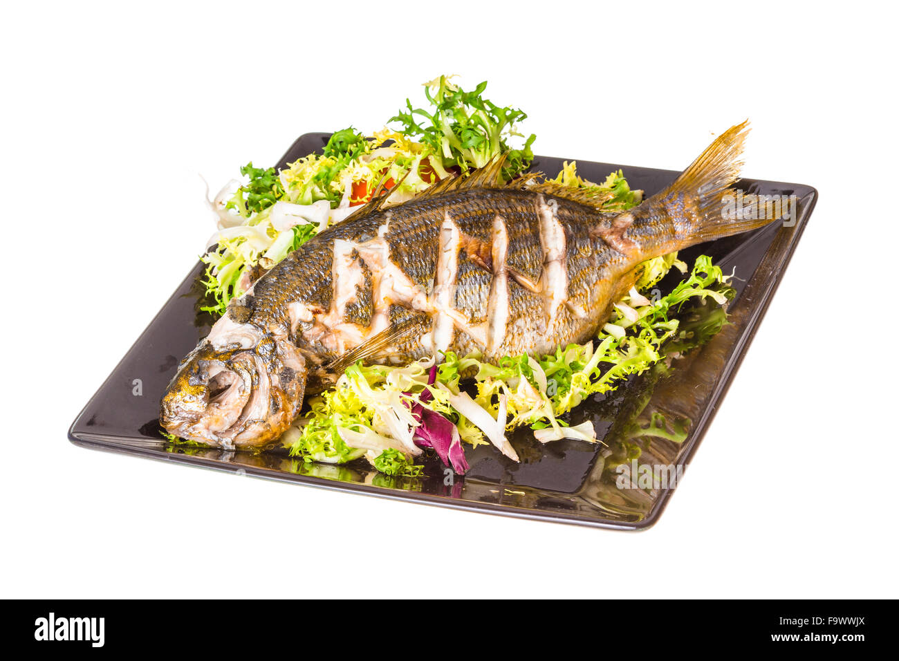 Salema porgy - sarpa fish Stock Photo - Alamy