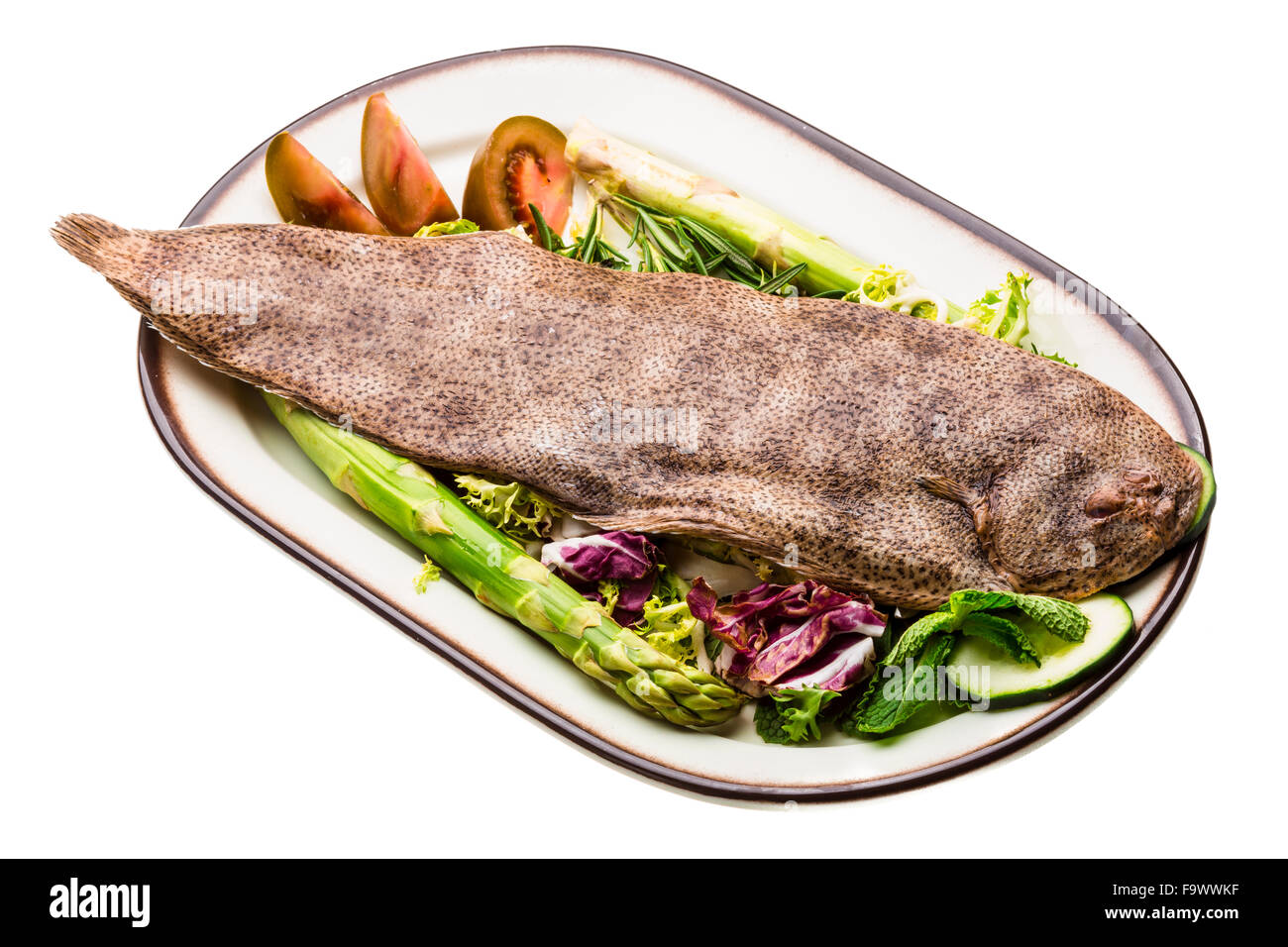 Fish Dover sole Stock Photo - Alamy
