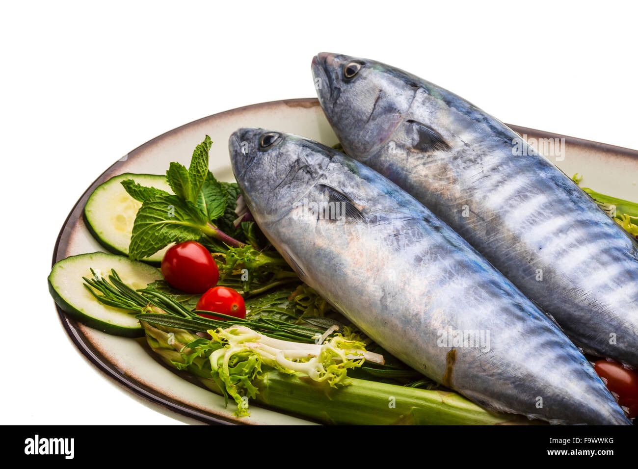 Atlanticmackerel hi-res stock photography and images - Alamy