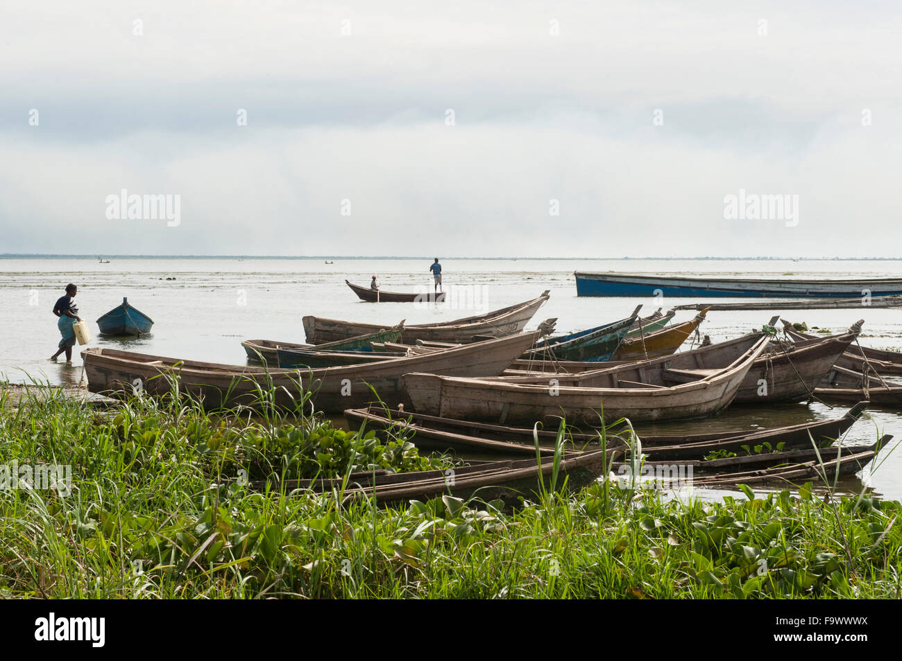 Fishing boats on Lake Albert, Uganda Stock Photo - Alamy