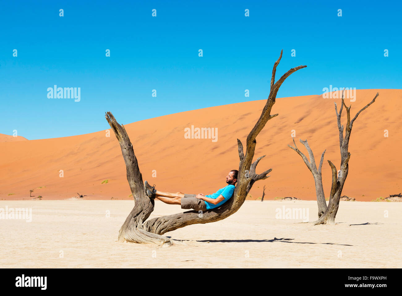 Namibia, Namib Desert, man resting on dead tree in Deadvlei Stock Photo ...