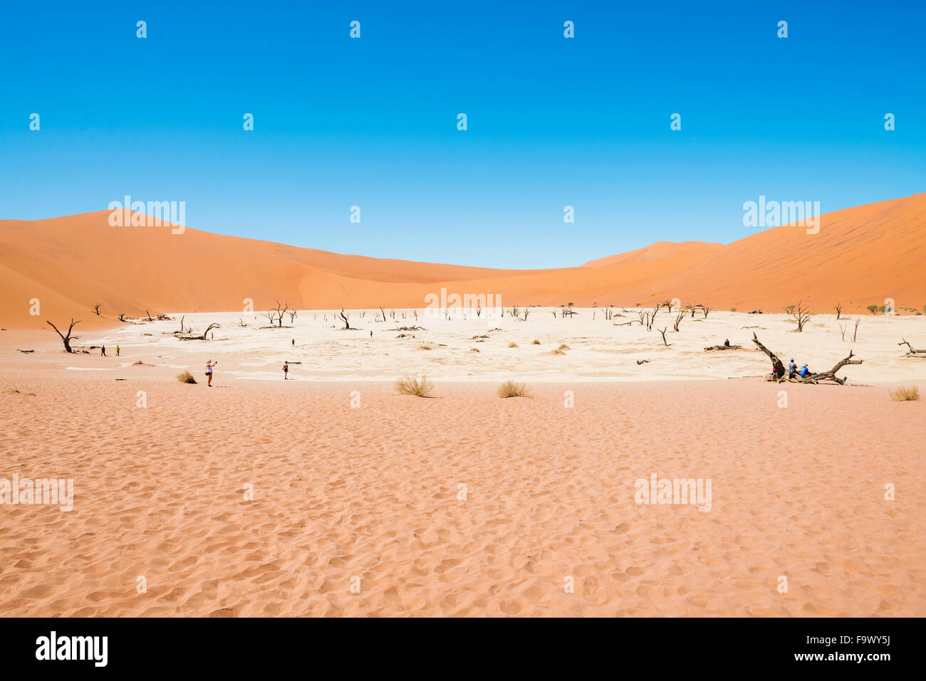 Namibia, Namib Desert, dead trees in Deadvlei Stock Photo - Alamy