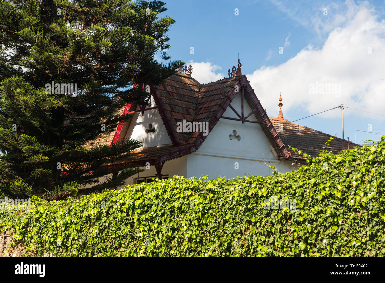 Street in La Laguna, Canary Island Tenerife Spain Stock Photo - Alamy
