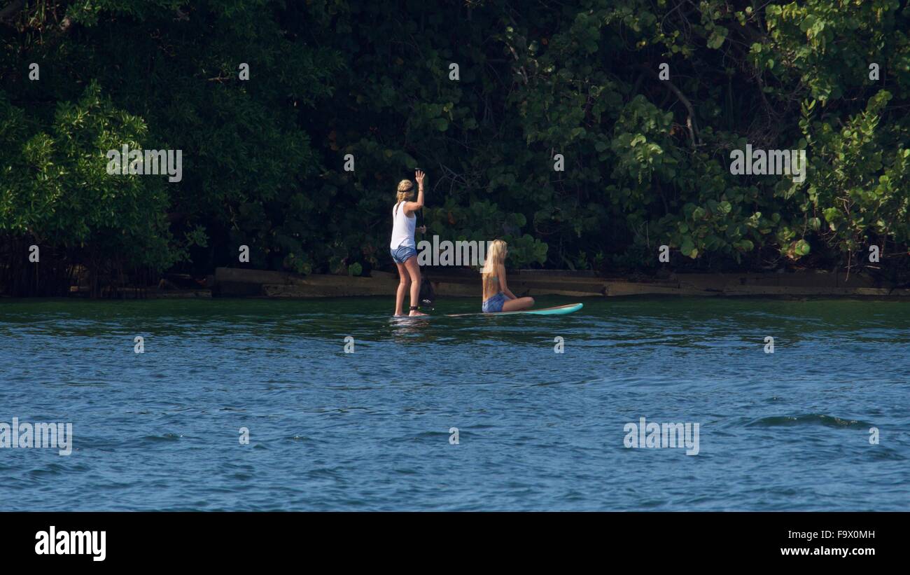 Florida paddle boarding hi-res stock photography and images - Alamy