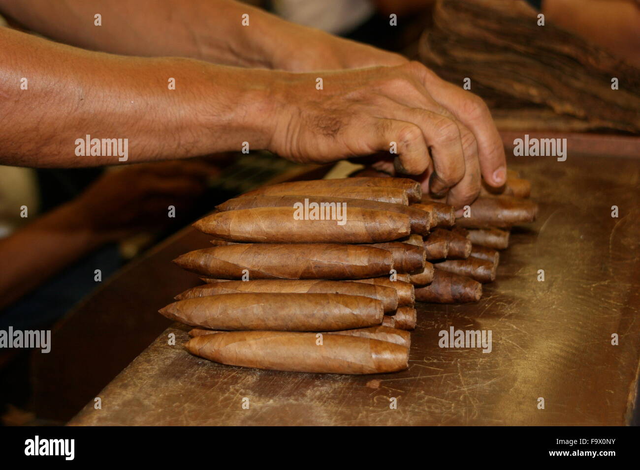 Stacking rolled cigars Stock Photo - Alamy