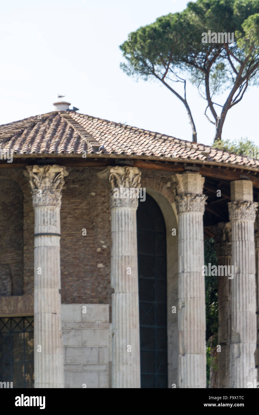 Rome - Vesta temple Stock Photo - Alamy