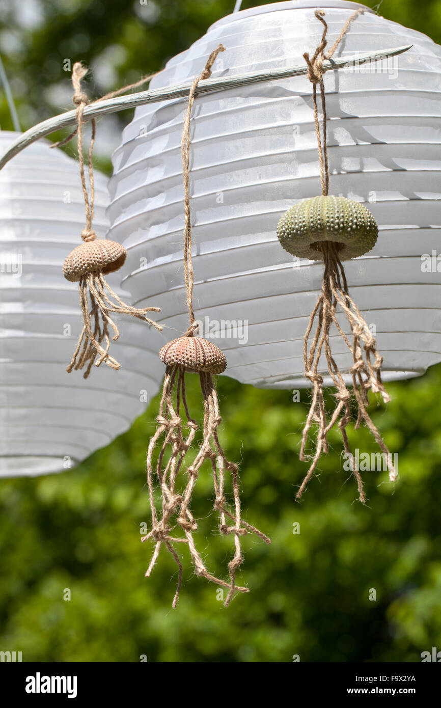 String Jellyfish High Resolution Stock Photography and Images - Alamy