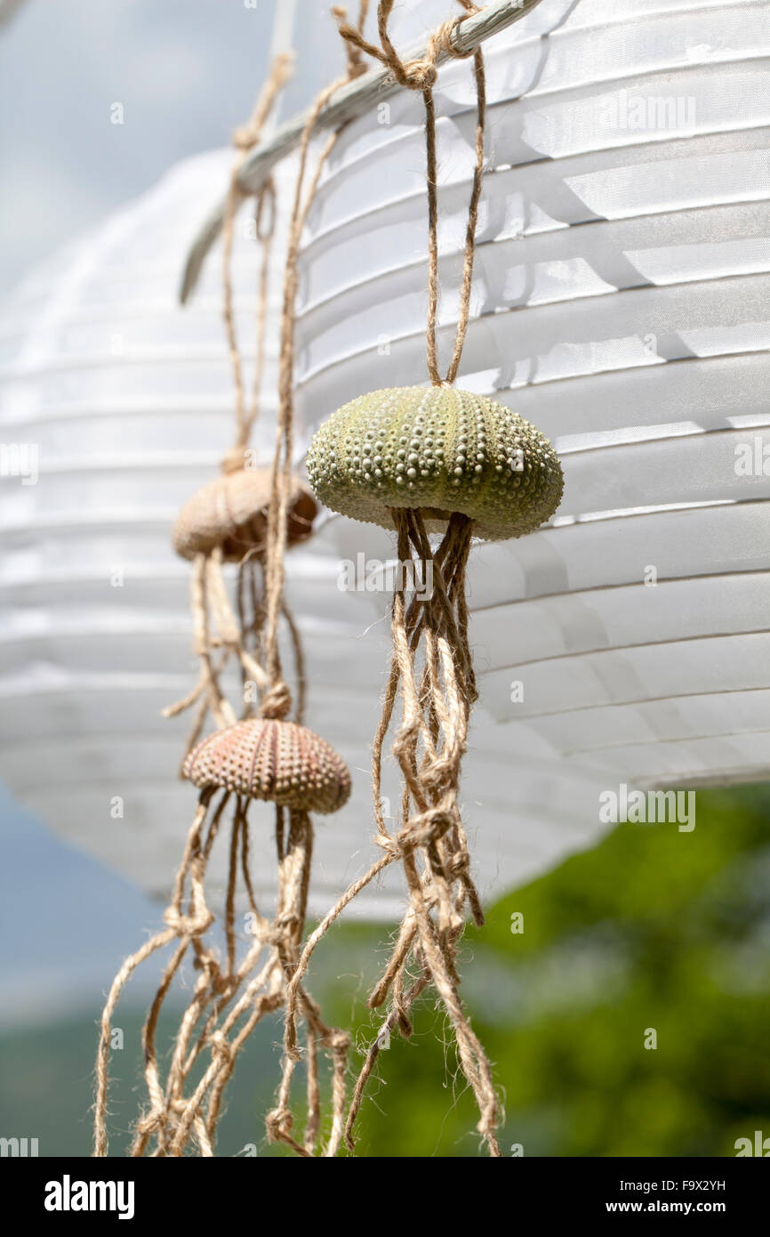 String Jellyfish High Resolution Stock Photography and Images - Alamy