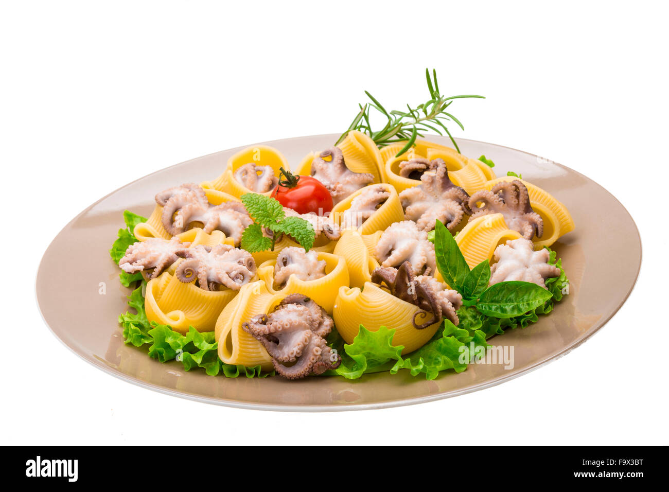 Octopus with shells Cut Out Stock Images & Pictures - Alamy