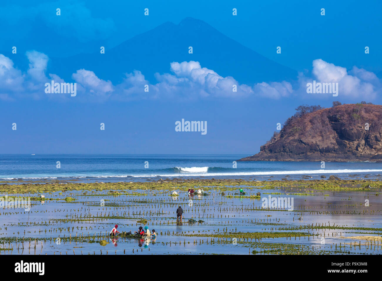 Sumbawa island volcano hi-res stock photography and images - Alamy