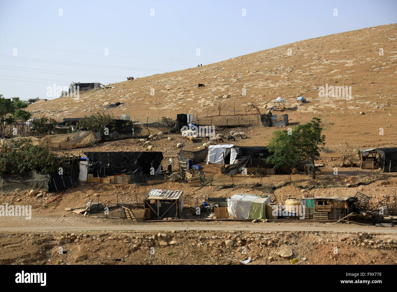 Palestinian bedouins hi-res stock photography and images - Alamy
