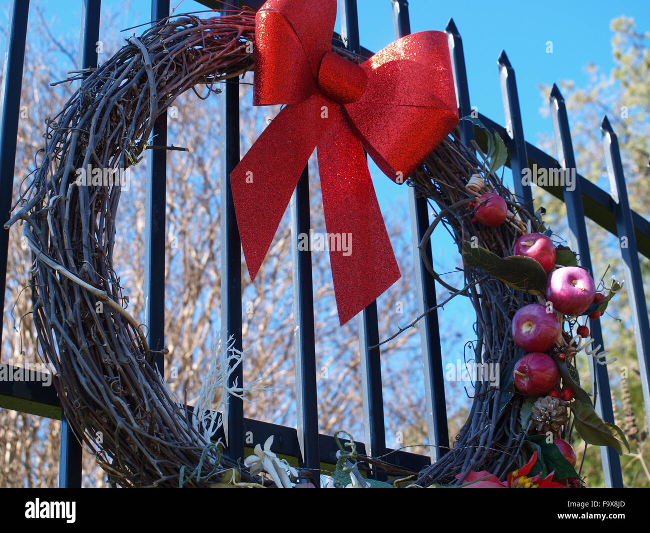 Dallas, Texas, USA.18 December 2015. Dallas weather hit 50-degrees ...