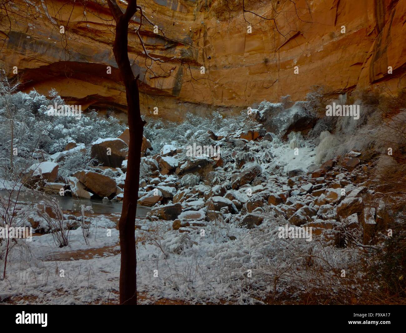 A small canyon in Utah collects ice in subzero temperatures Stock Photo ...