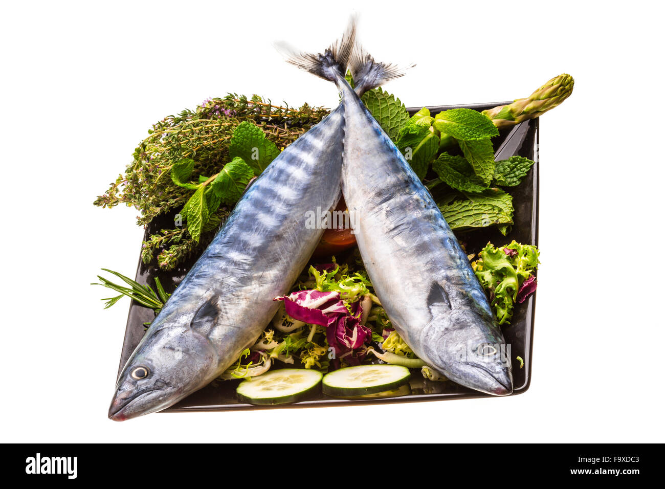 Atlanticmackerel hi-res stock photography and images - Alamy