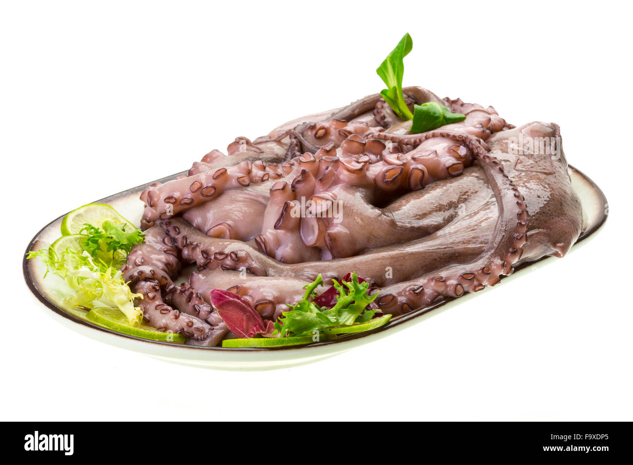 Raw large octopus Stock Photo - Alamy