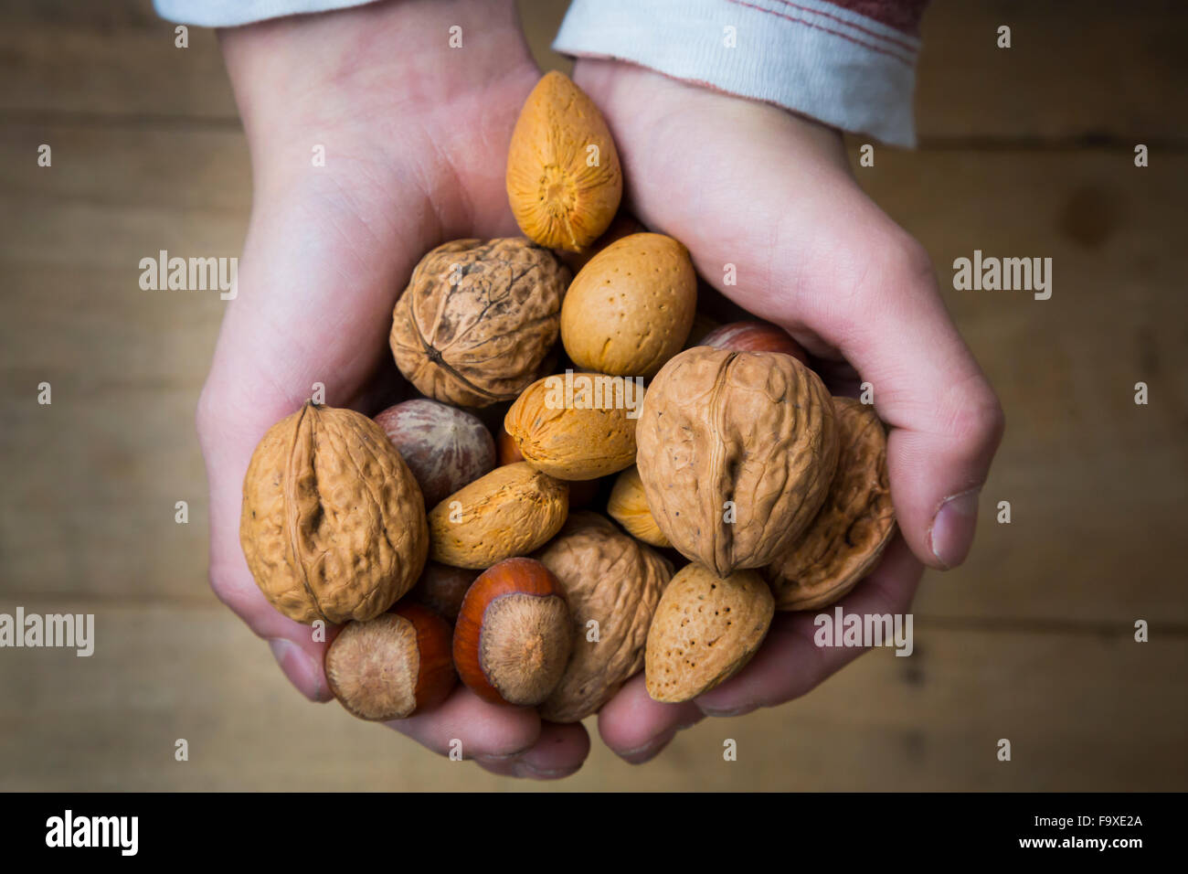 Girl's hands holding walnuts, almonds and hazelnuts Stock Photo - Alamy