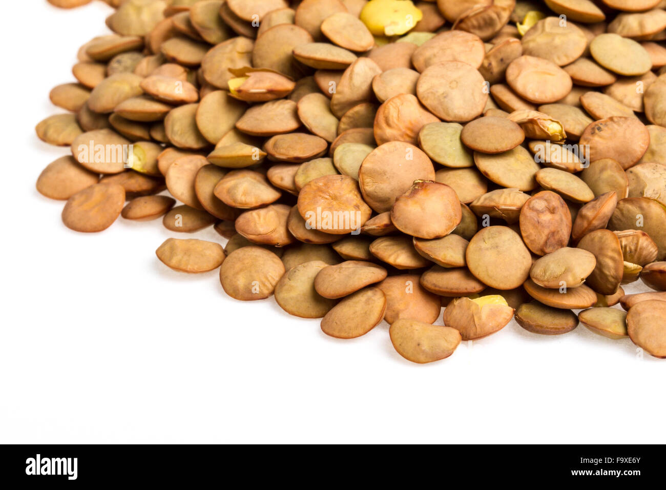Lentils Isolated on White Background Stock Photo - Alamy