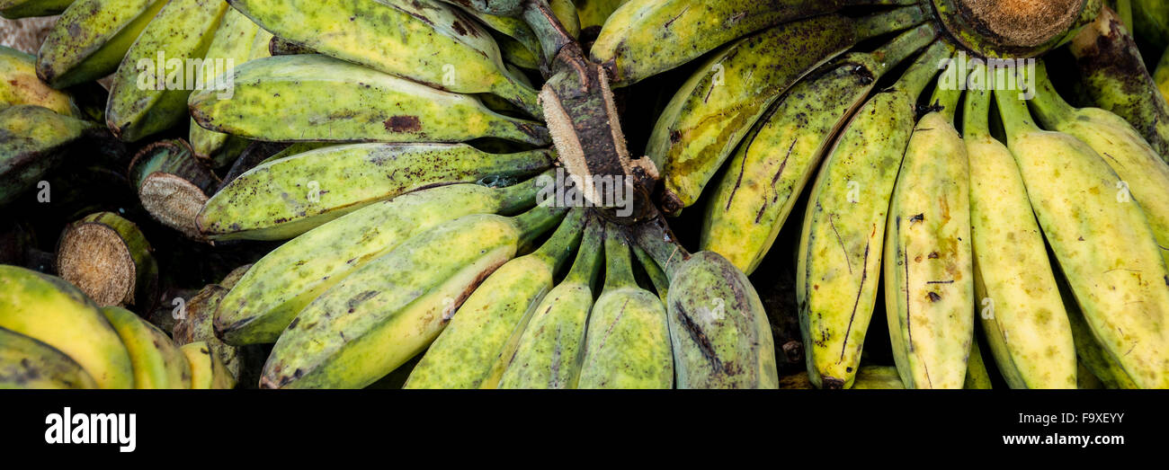 Cardavas hi-res stock photography and images - Alamy