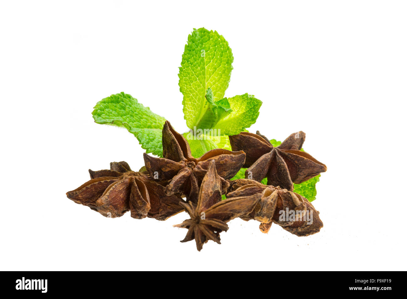 Star Anise and Mint isolated Stock Photo - Alamy