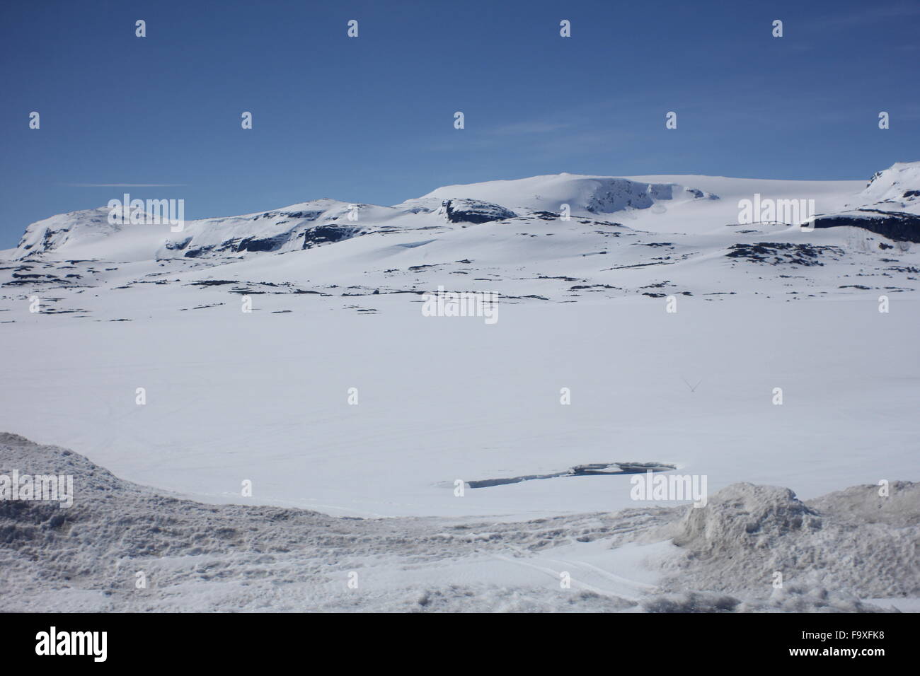 Myrdal and train hi-res stock photography and images - Alamy