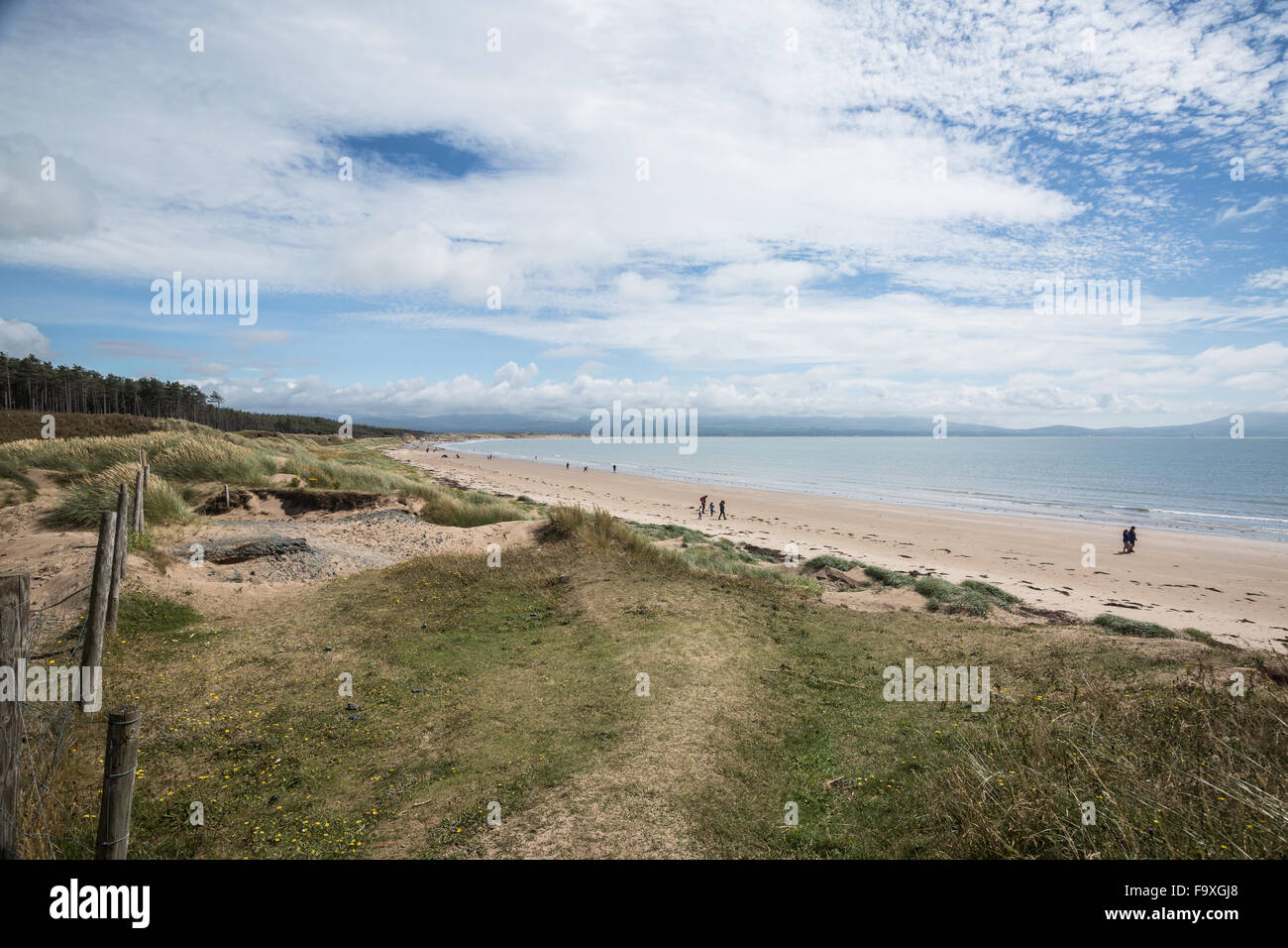 Newborough beach newborough forest anglesey hi-res stock photography ...