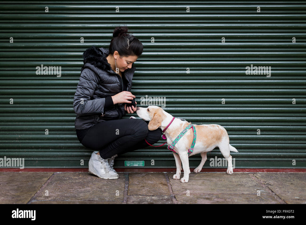 Shutter Dog High Resolution Stock Photography and Images - Alamy