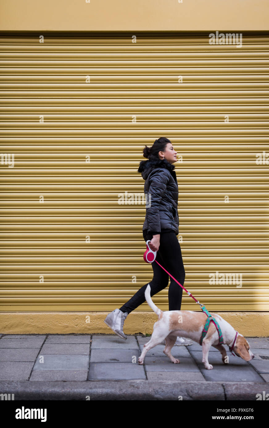Shutter Dog High Resolution Stock Photography and Images - Alamy