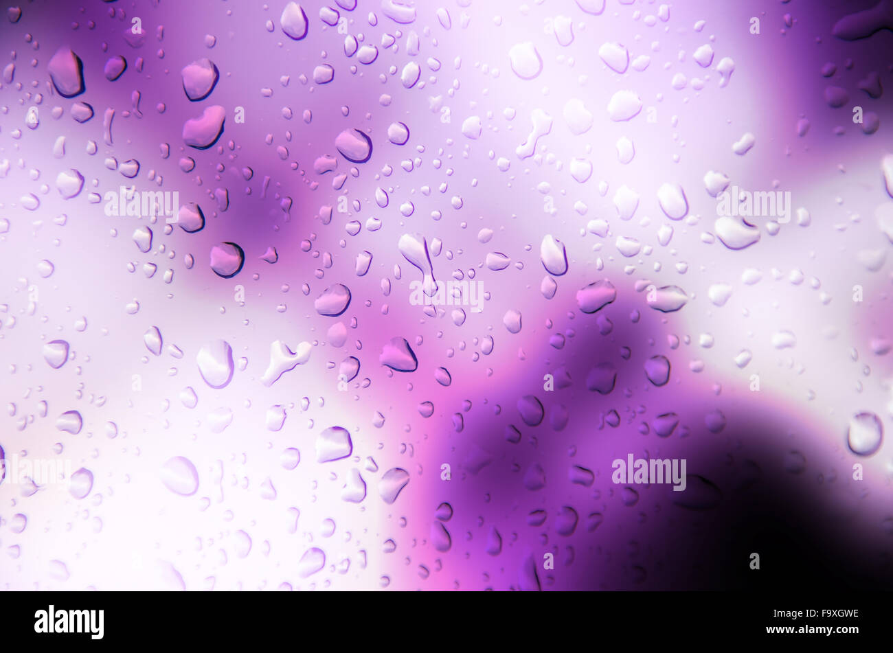 abstract violet color background with drop water Stock Photo - Alamy