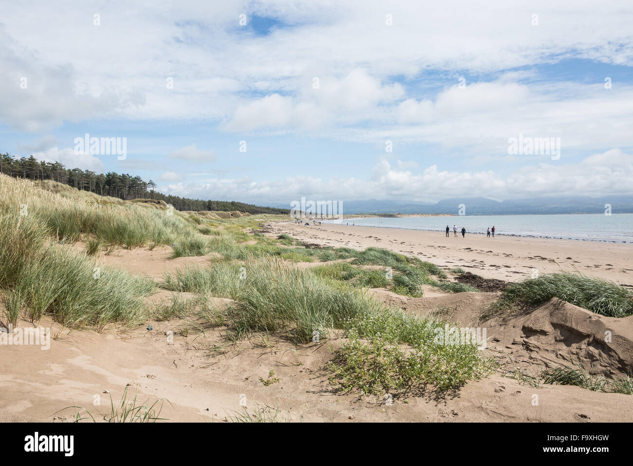 Newborough beach, newborough forest, Anglesey, North Wales, UK Stock ...