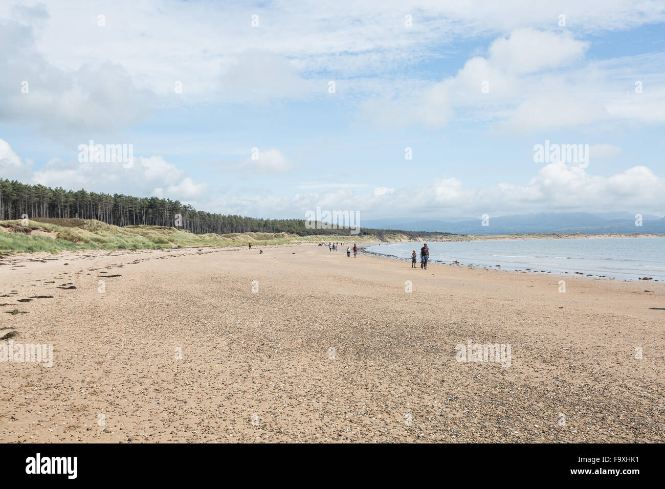 Newborough beach, newborough forest, Anglesey, North Wales, UK Stock ...