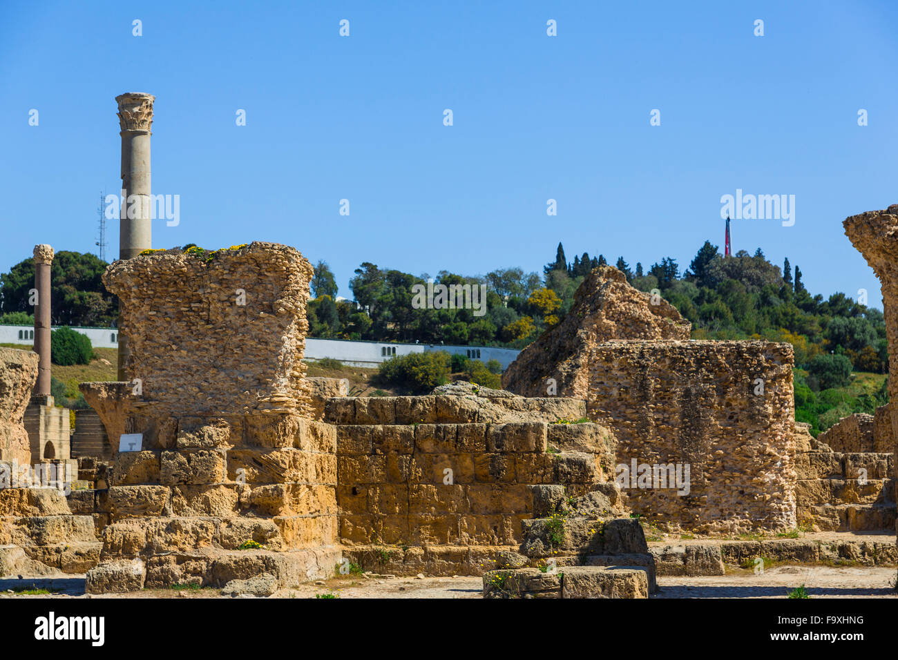 Old Carthage ruins in Tunisia Stock Photo - Alamy