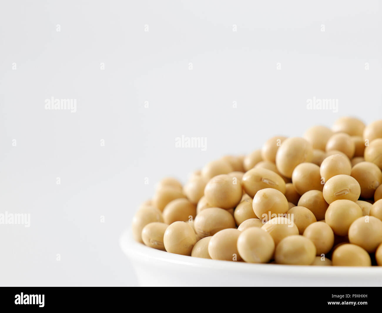 close up of the soy bean Stock Photo - Alamy