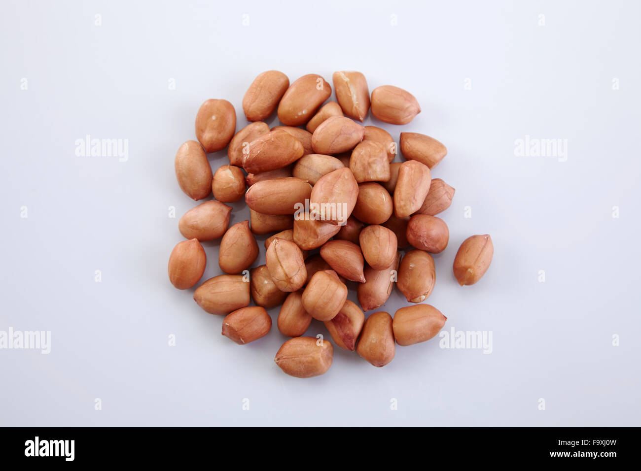 ground nut on the white background Stock Photo - Alamy