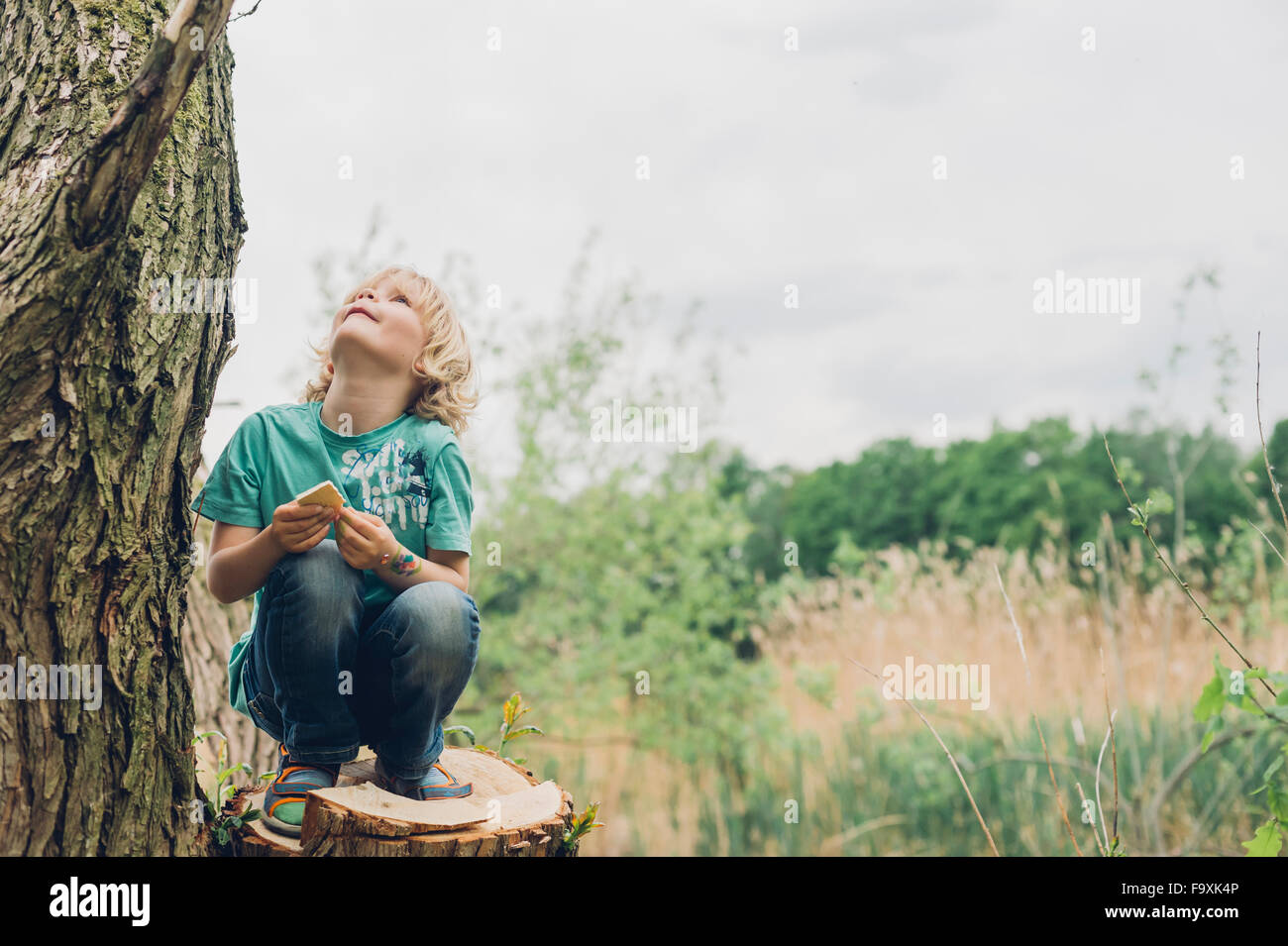 Boy crouch tree hi-res stock photography and images - Alamy