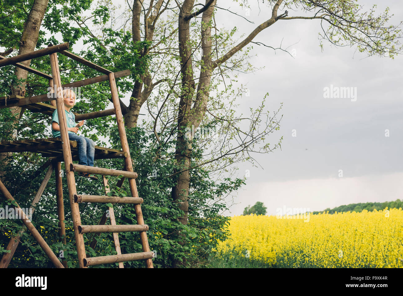 Germany, Saxony, boy sitting on raised hide looking out Stock Photo - Alamy