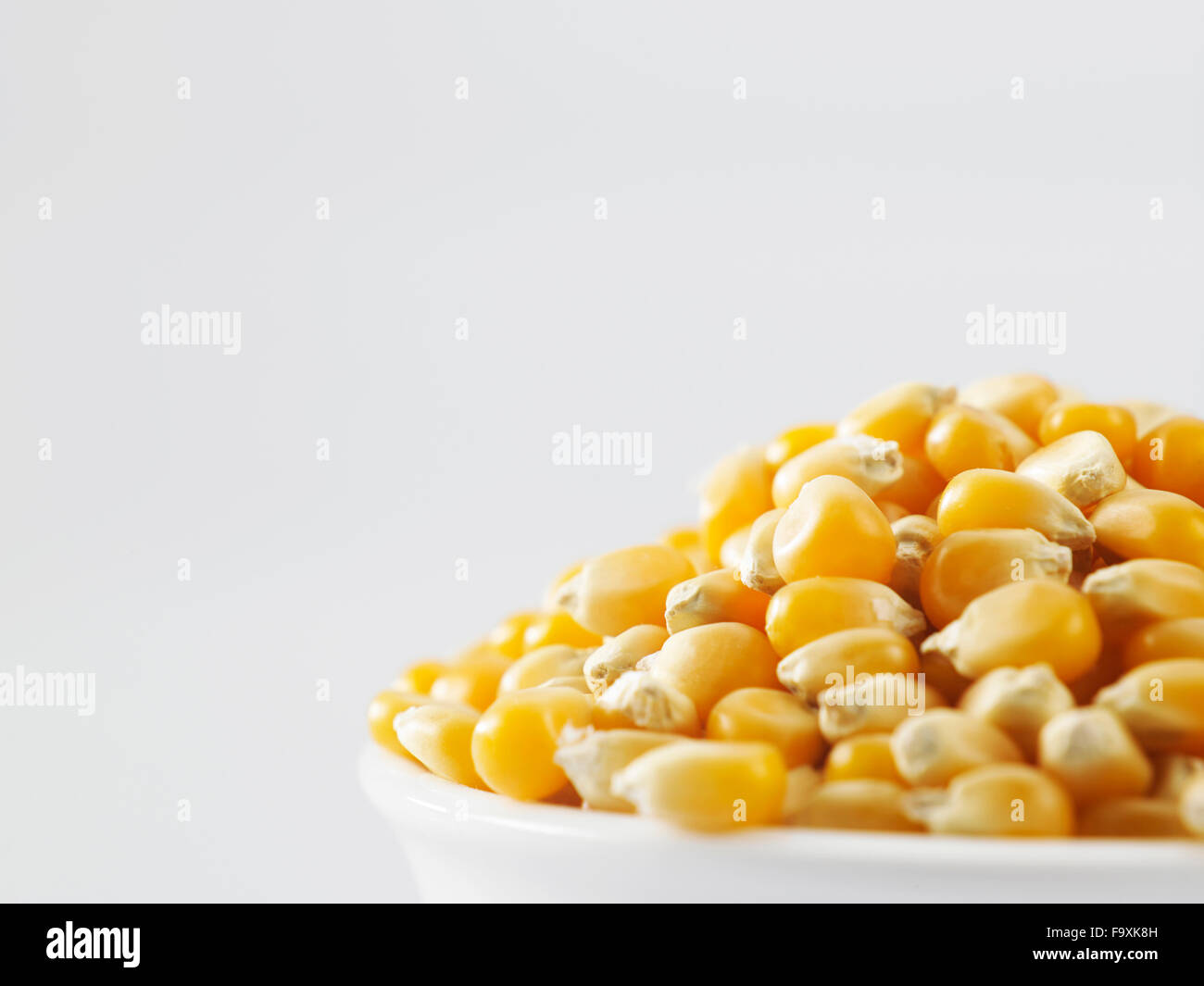 close of the maize corn Stock Photo - Alamy