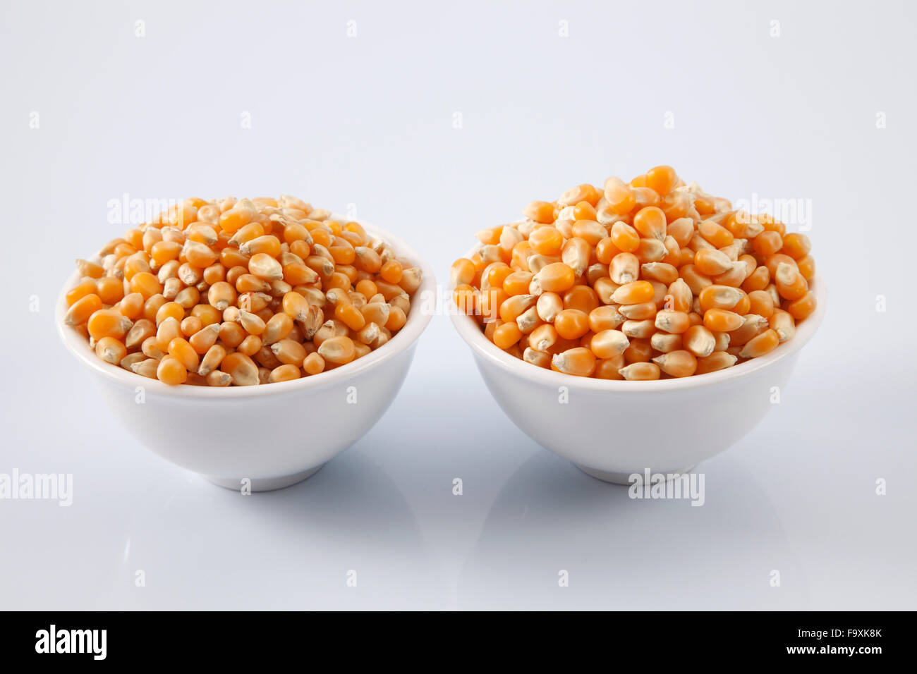 compare maize corn of different grade Stock Photo - Alamy