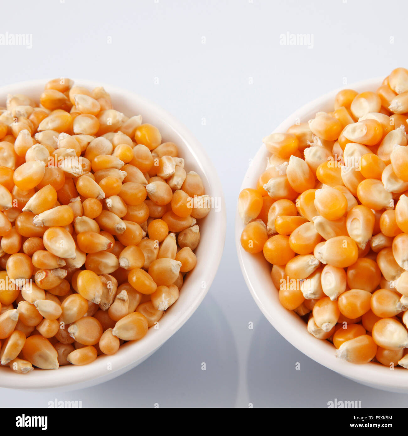 compare maize corn of different grade Stock Photo - Alamy