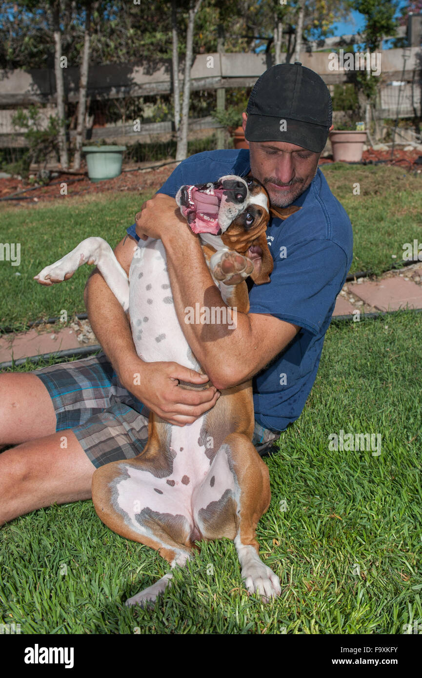 Tall man hugging his female boxer dog Stock Photo - Alamy